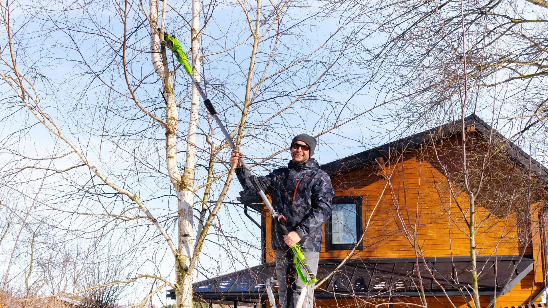 Discover How a Pole Saw Can Take on Any Task and Reach New Heights ...